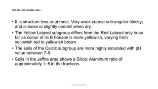 Soil types of Sri Lanka | PPTX