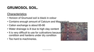 Soil types of Sri Lanka | PPTX