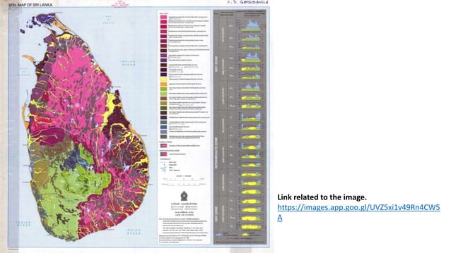 Soil types of Sri Lanka | PPTX