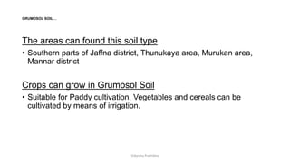 Soil types of Sri Lanka | PPTX