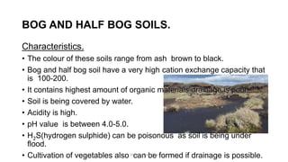 Soil types of Sri Lanka | PPTX