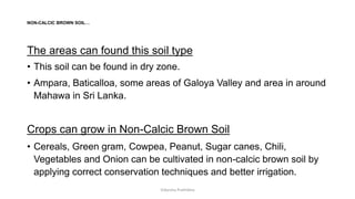 Soil types of Sri Lanka | PPTX