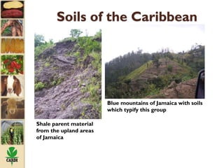 Status of soil resources in the Caribbean and experiences of its ...