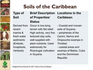 Status of soil resources in the Caribbean and experiences of its ...