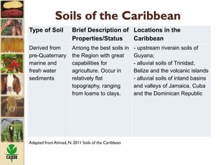 Status of soil resources in the Caribbean and experiences of its ...