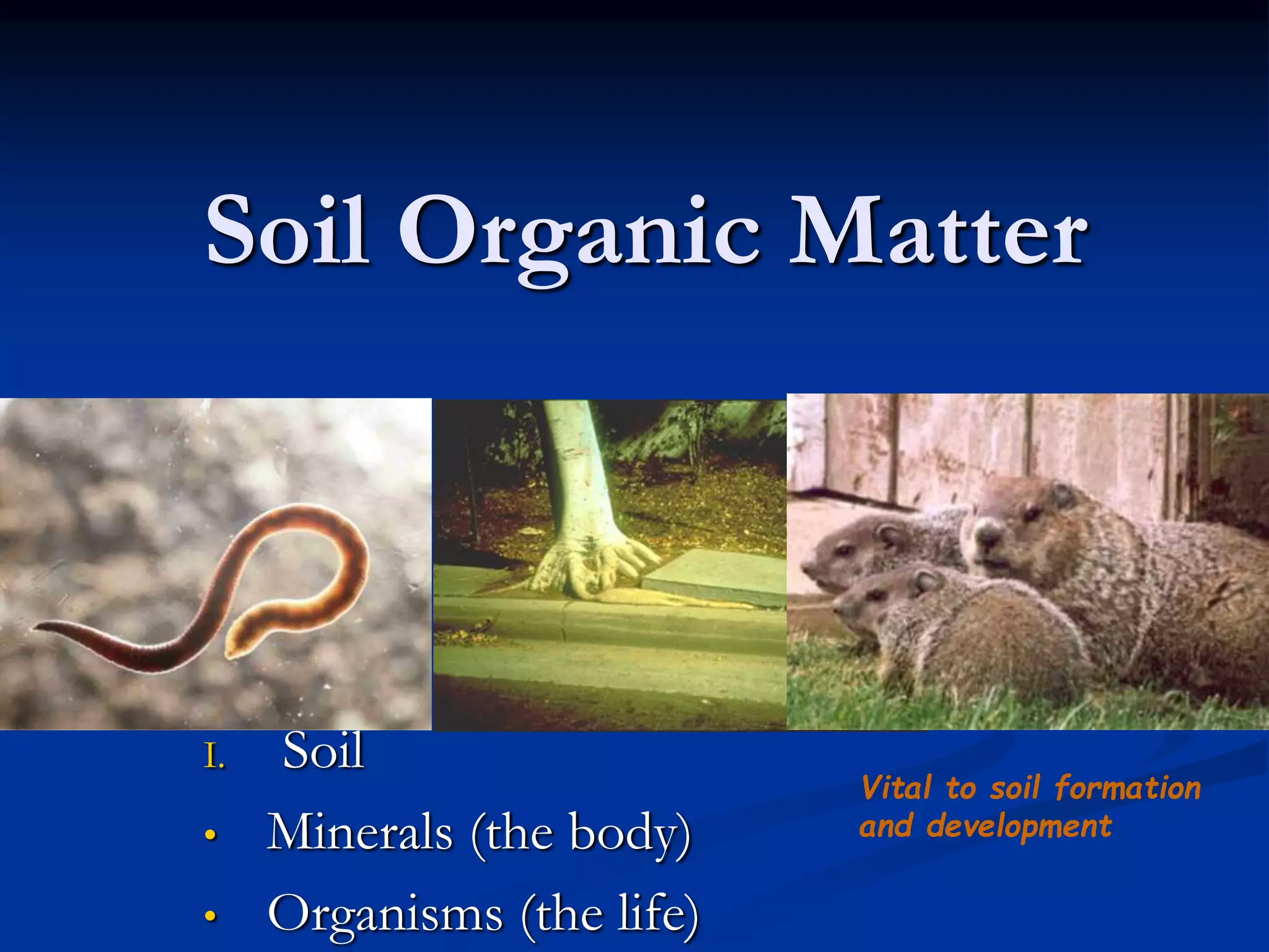SOILS ppt.ppt | Agriculture | Industries