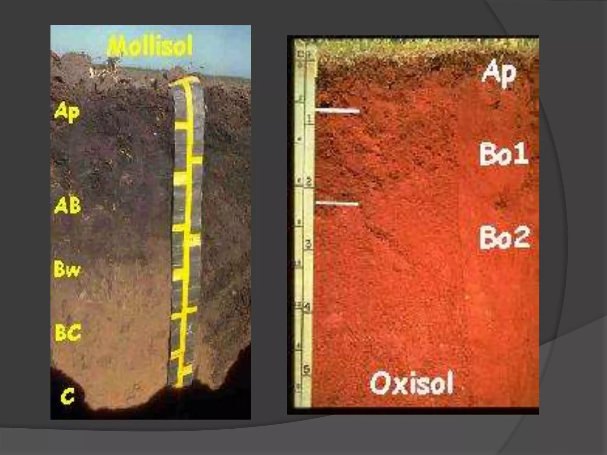 SOILS ppt.ppt