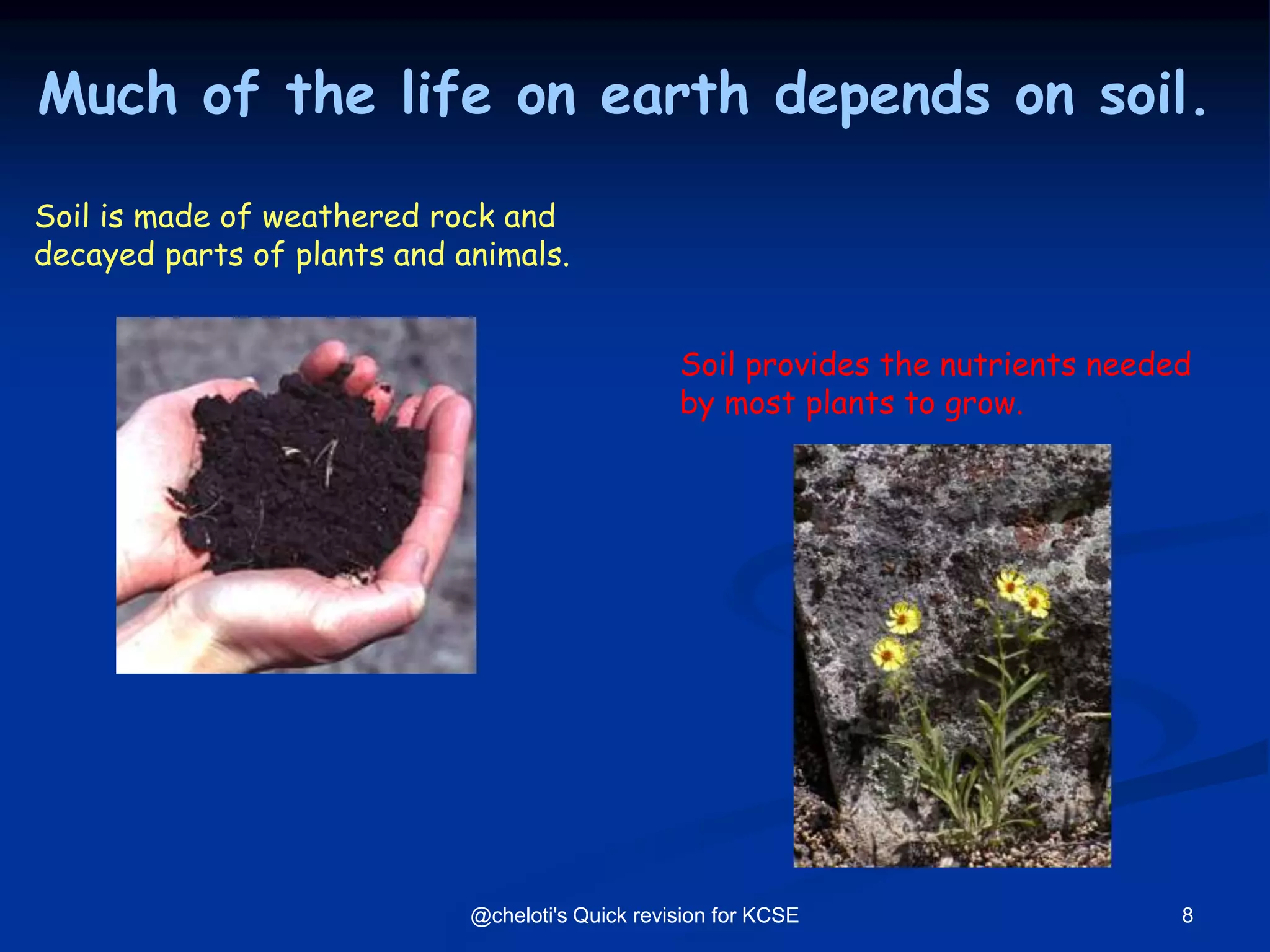 SOILS ppt.ppt | Agriculture | Industries