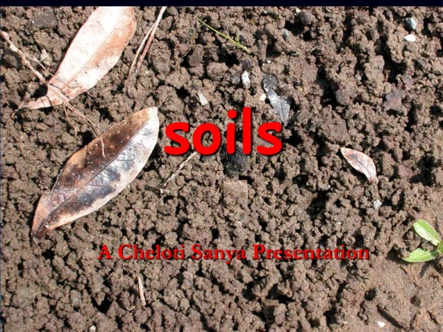 SOILS ppt.ppt | Agriculture | Industries