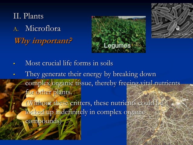 SOILS ppt.ppt | Agriculture | Industries