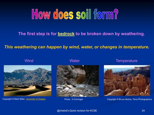 SOILS ppt.ppt | Agriculture | Industries