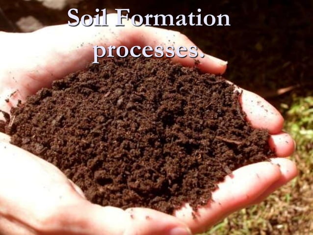 SOILS ppt.ppt | Agriculture | Industries