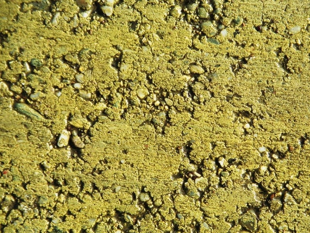 Soil stabilisation (1) | PPT