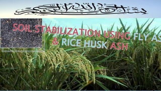 Soil stabilization using fly ash & Rice husk ash | PPTX