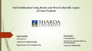 Soil Stabilization Using Resins and Wool in Bareilly.pptx
