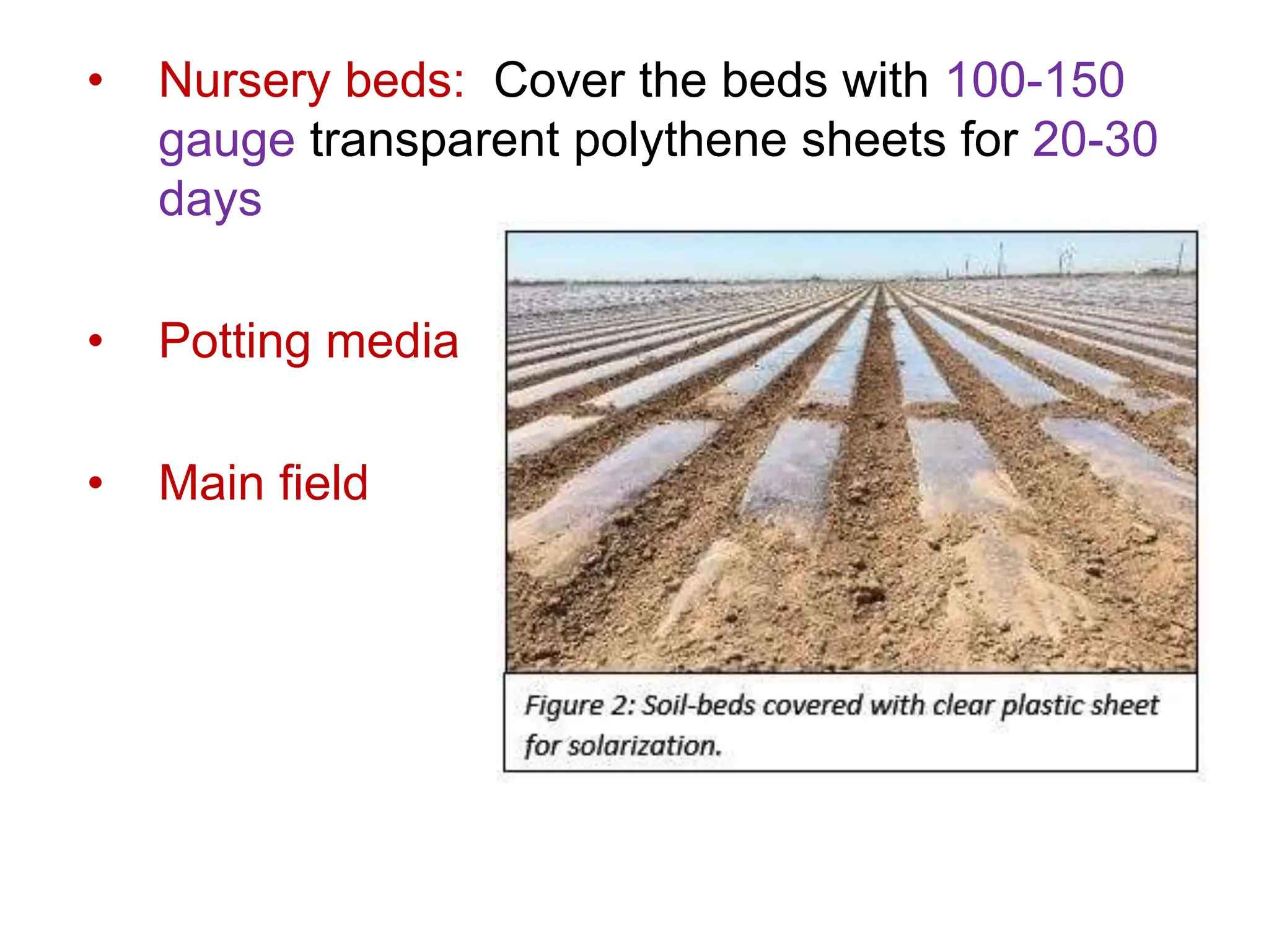 Soil Sterilization and its types | PPTX