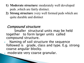 Soil structure | PPTX