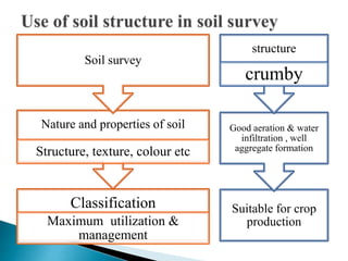 Soil structure | PPTX