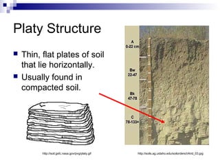 Soil structure, density and porosity | PPT