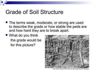 Soil structure, density and porosity | PPT