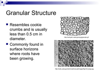 Soil structure, density and porosity | PPT