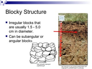 Soil structure, density and porosity | PPT