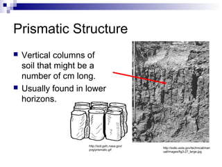 Soil structure, density and porosity | PPT