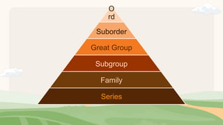 Soil Taxonomy.pptx Types,QUlaities,Specification | PPTX