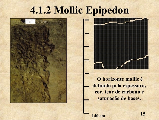 Soil taxonomy