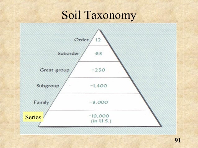 Soil taxonomy