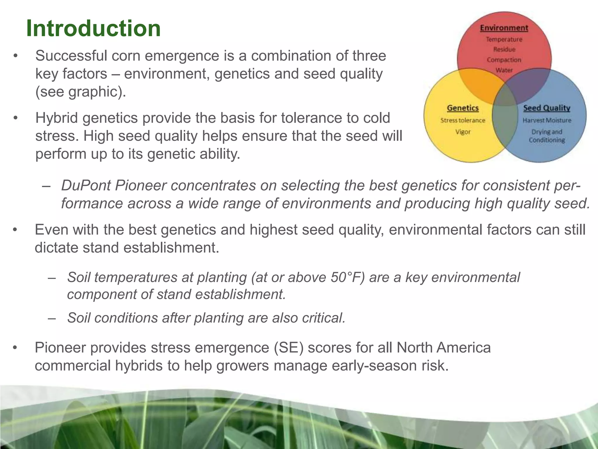 Soil Temperature & Corn Emergence | PPTX