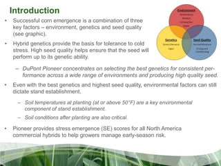 Soil Temperature & Corn Emergence | PPTX