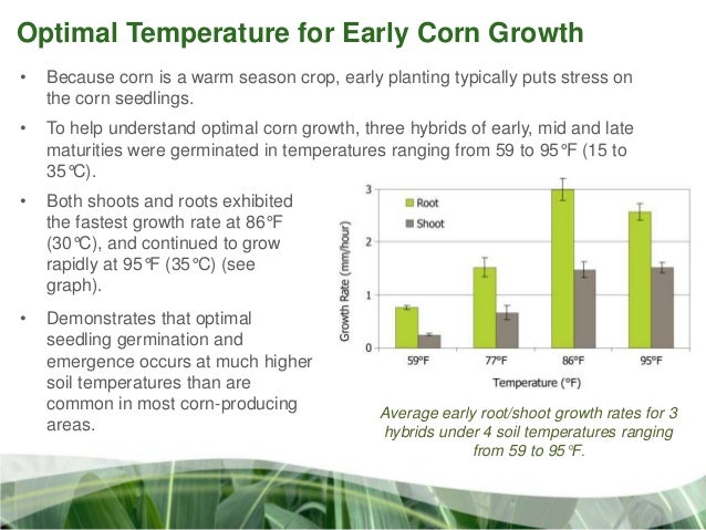 Soil Temperature & Corn Emergence