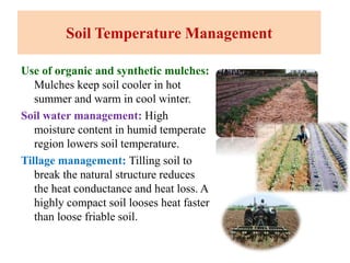 Temperate Soil