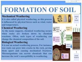 SOIL TEST AND SAMPLING METHODS.pptx
