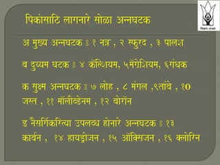 Soil testing in Marathi | PDF