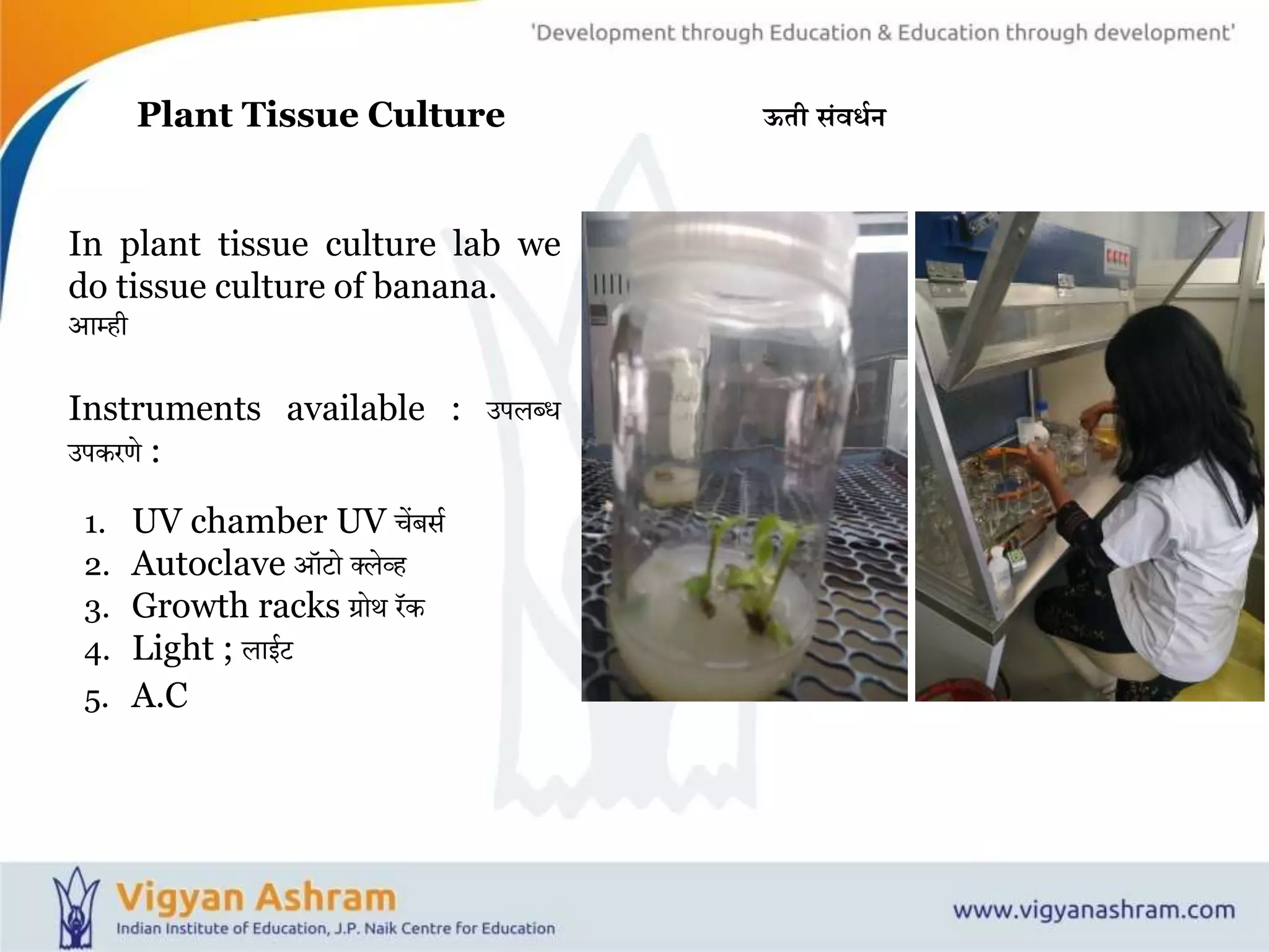 Soil testing lab | PPTX