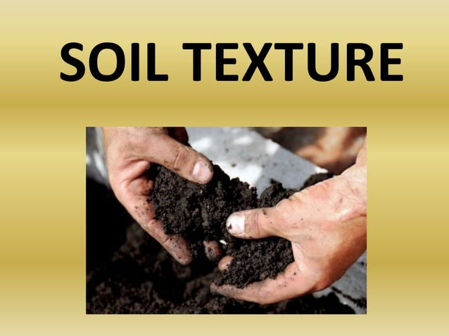 Soil texture | PPTX