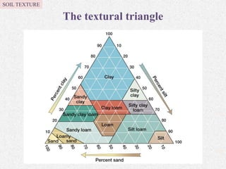 Soil texture and soil structure | PPTX