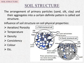Soil texture and soil structure | PPTX
