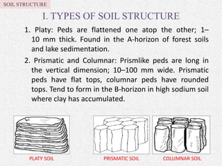 Soil texture and soil structure | PPTX