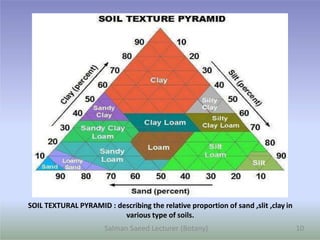 Soil Texture and Structure by Salman Saeed | PPTX
