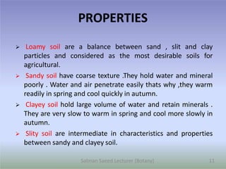 Soil Texture and Structure by Salman Saeed | PPTX