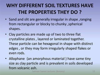 Soil Texture and Structure by Salman Saeed | PPTX