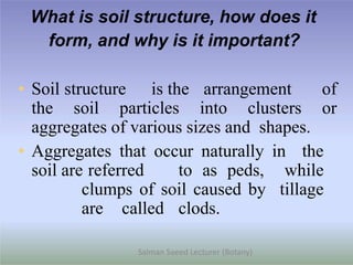 Soil Texture and Structure by Salman Saeed | PPTX