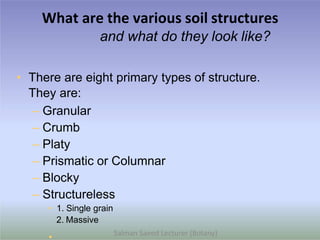 Soil Texture and Structure by Salman Saeed | PPTX