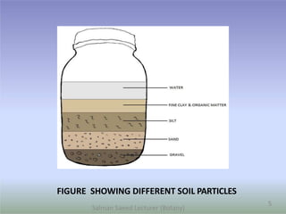 Soil Texture and Structure by Salman Saeed | PPTX