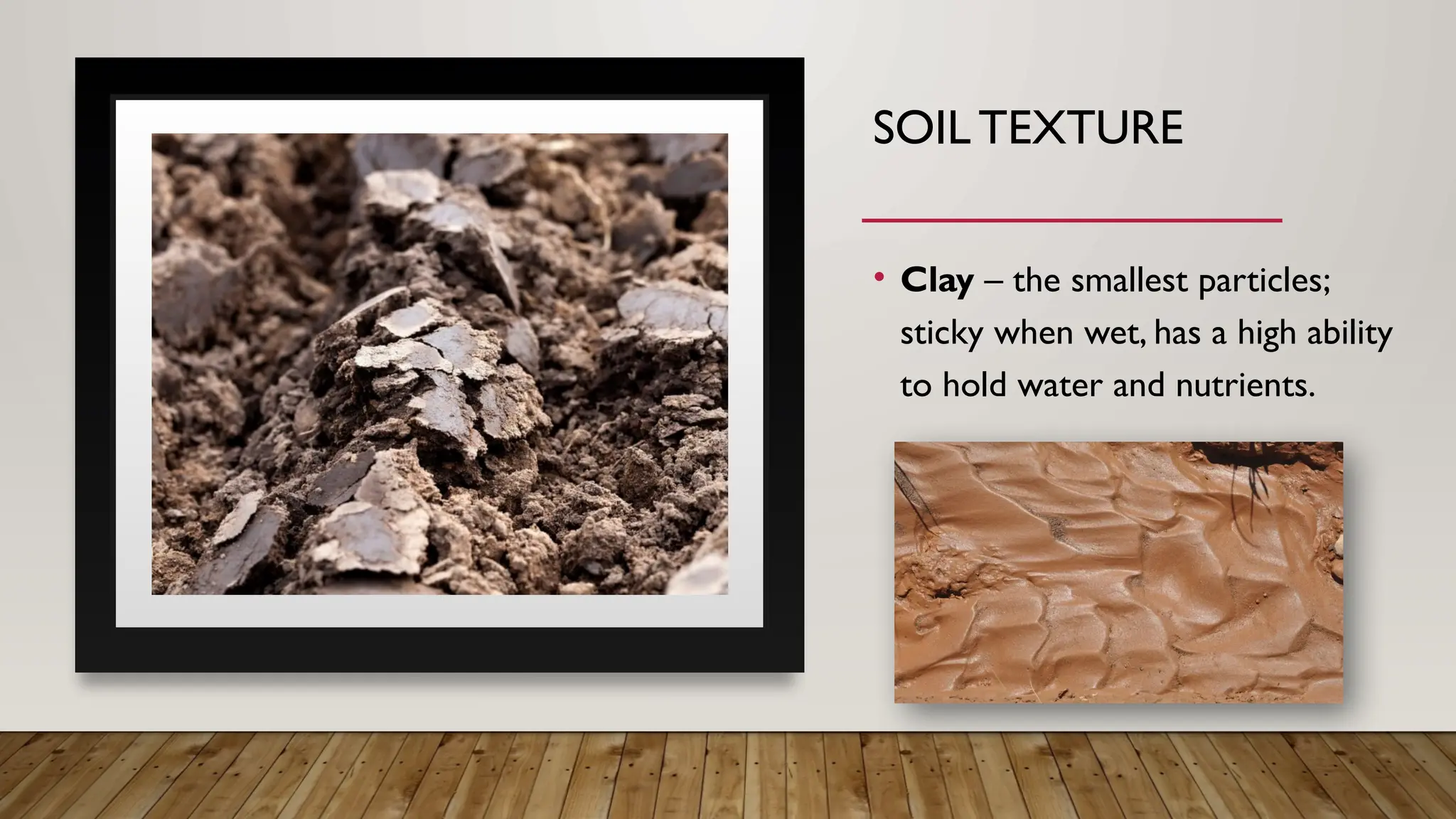 SOIL TEXTURE LECTURE.pptx.............................. | PPTX