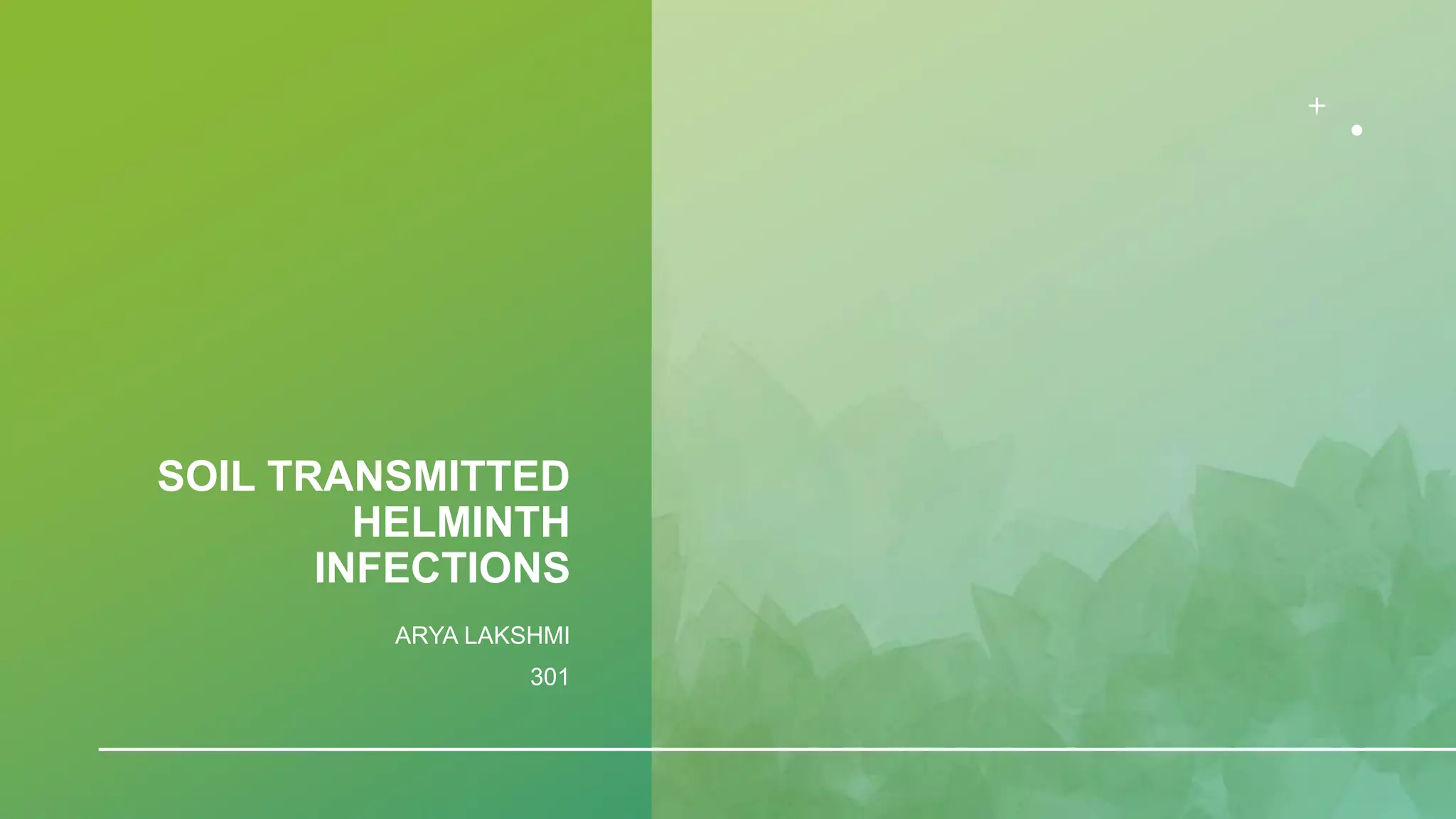 SOIL TRANSMITTED HELMINTH INFECTIONS.pptx