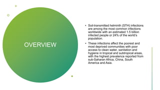 SOIL TRANSMITTED HELMINTH INFECTIONS.pptx